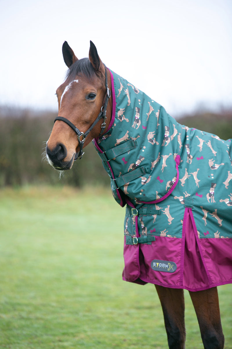 Harrison The Hare Turnout Rug – Animal & Saddle Ltd
